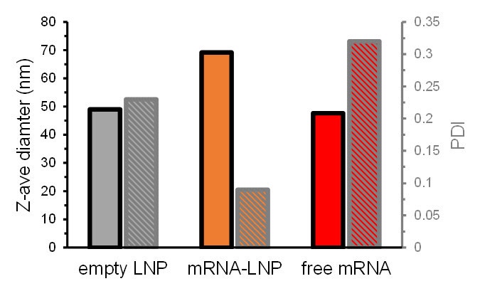 Multi-method benchtop analyses of lipid nanoparticles for mRNA delivery | Malvern Panalytical